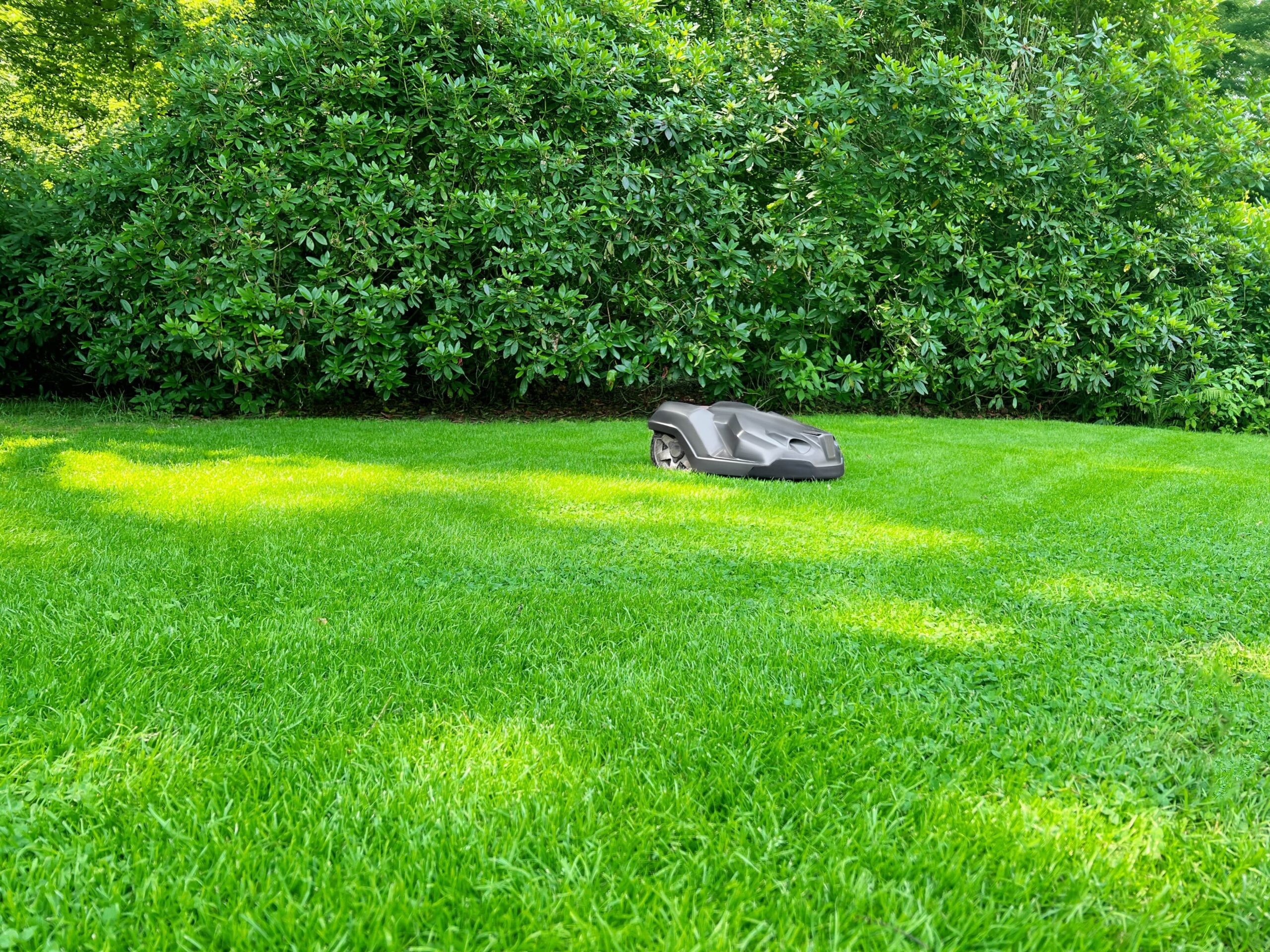 Smart Lawn Care: Integrating Robot Mowers with Home Automation Systems ...